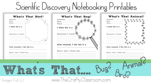 Free Scientific Discovery Notebooking Printables