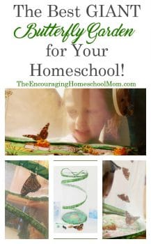 Free Butterfly Resource Unit