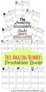 Free Amazing Numbers Printables Book {Subscriber Freebie}