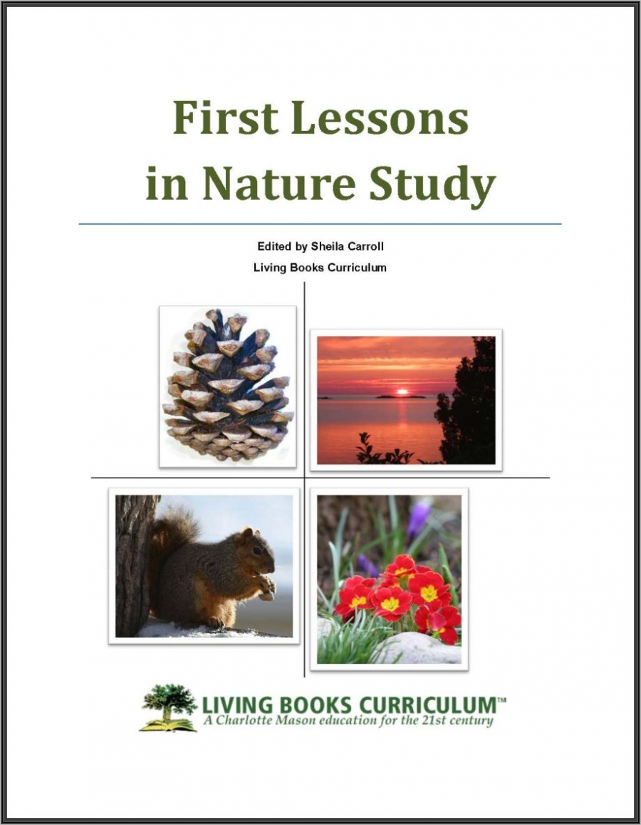 18 New Homeschool Freebies, Deals, Resources, and More!