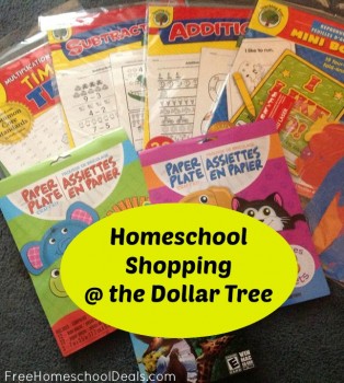 Sommer's Homeschool Shopping Trip to the Dollar Tree