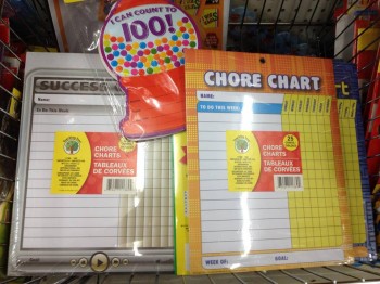 Sommer's Homeschool Shopping Trip to the Dollar Tree