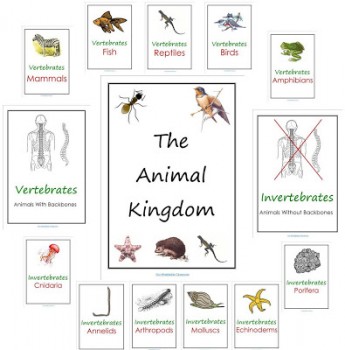 Free Animal Kingdom Notebook Printables