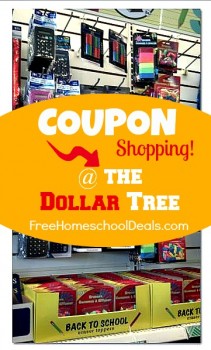 Coupon Shopping at The Dollar Tree