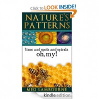 15 Free Kindle Books: Nature's Patterns, Junior-Year in the Key to ...