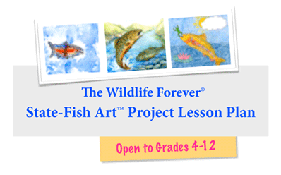 Free Fish Science Lesson Plan (Gr. 4-12) + Art Contest