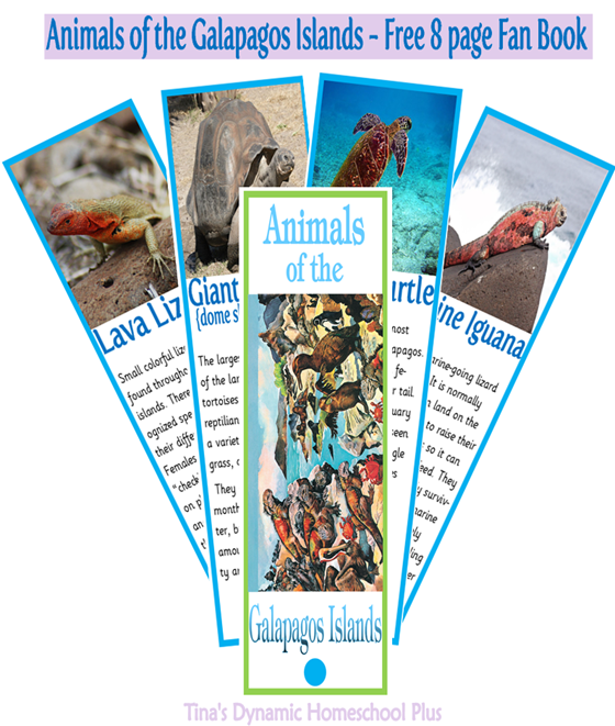Free Printable Animals of the Galapagos Fan Book