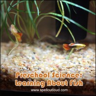 Free Preschool Science: Learning About Fish Printables