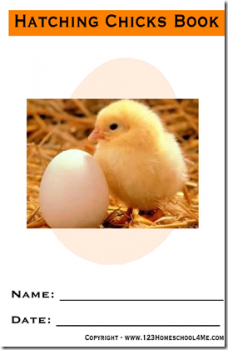 Free Printable Baby Chicken Hatching Observation Book