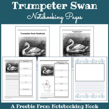 Free Trumpeter Swan Notebooking Pages