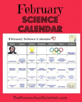 Free February Homeschool Science Activitiy Calendar