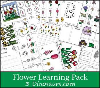 Free Flower Learning Printable Pack