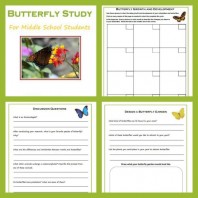 Free Butterfly Study Worksheet Packet
