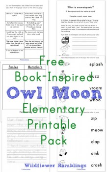 Owl Moon Book-Inspired Printables for Preschool and Elementary