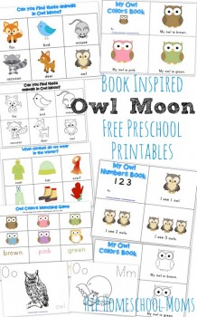 Owl Moon Book-Inspired Printables for Preschool and Elementary