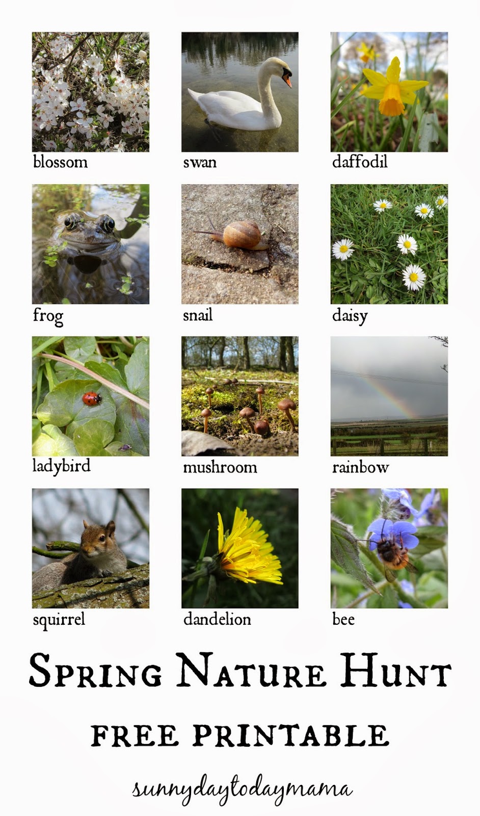 Free Spring Nature Hunt Printables