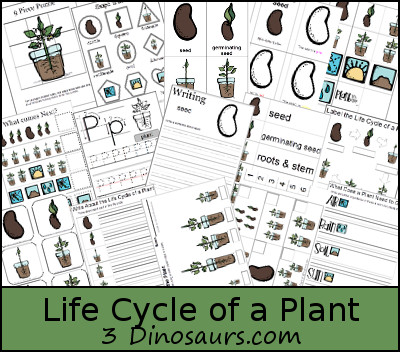 Free Life Cycle of a Plant Printables Pack