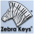 Free Online Piano Lessons with Zebra Keys