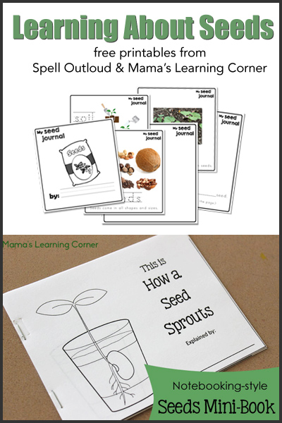 Free Printable Seed Journal & Activities