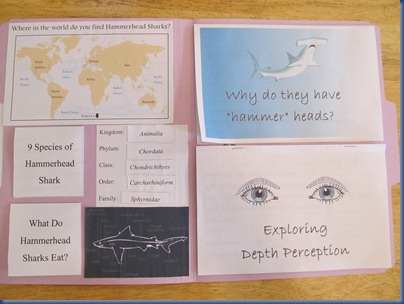 FREE Hammerhead Sharks Unit Study