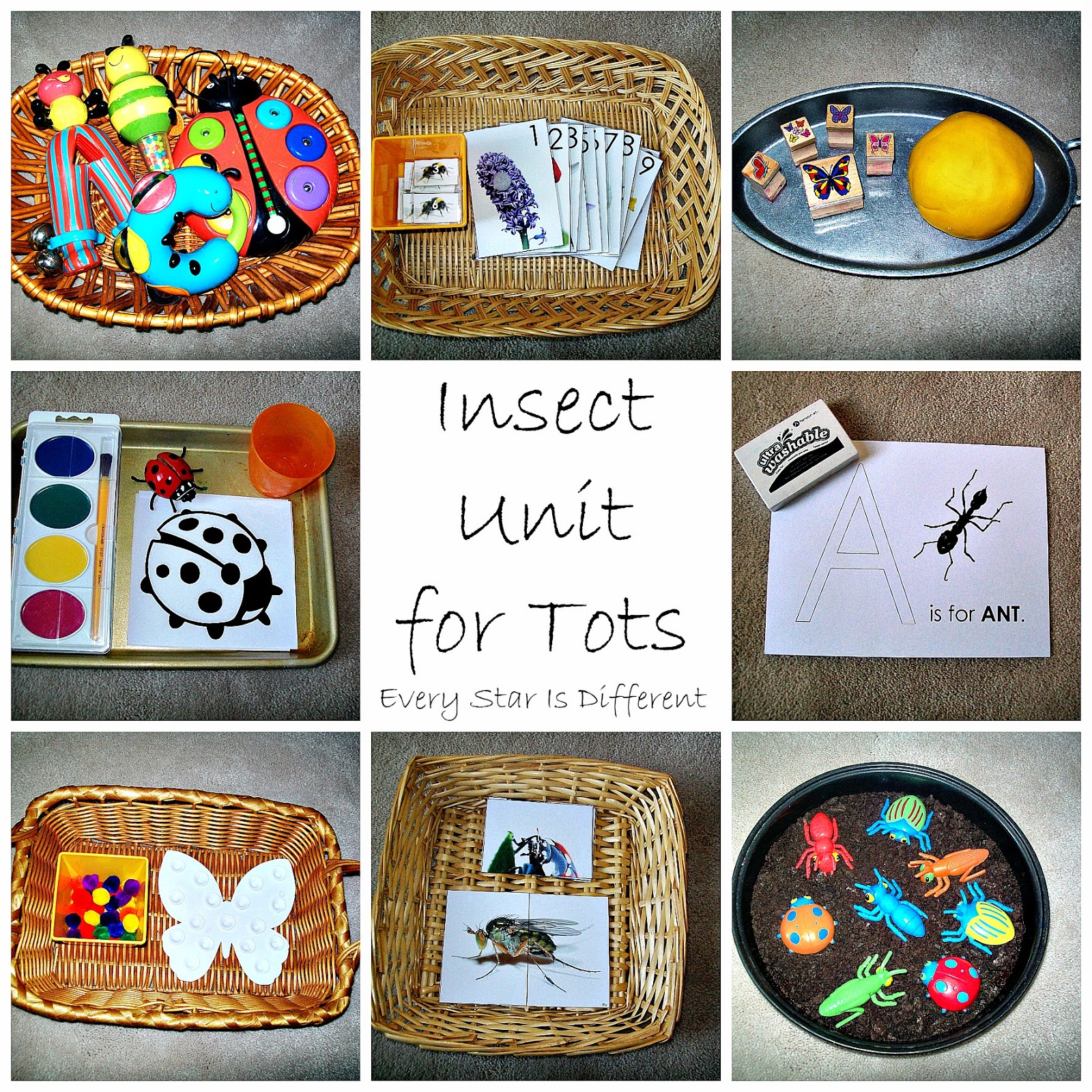 Insect Unit for Tots with Free Printables