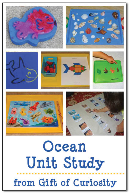 FREE Ocean Unit Study