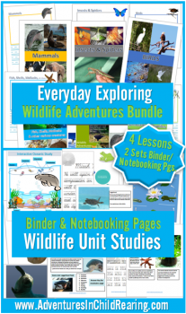 FREE Wildlife Adventures Notebooking Pages and Unit Study