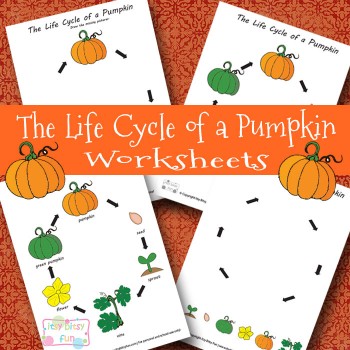 FREE Pumpkin Life Cycle Worksheets