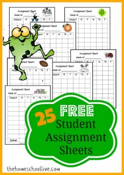 25 FREE Student Assignment Sheets