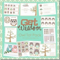 FREE Cute Owl Preschool Pack