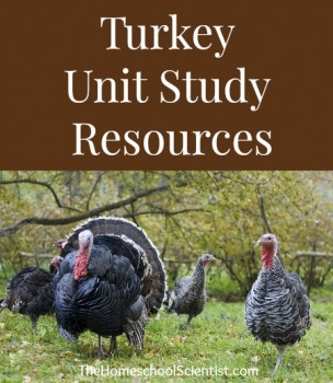 FREE Turkey Unit Study Resources