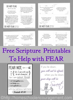 FREE Printable Scripture Cards and Posters