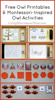 FREE Owl Printables and Activities