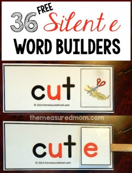 FREE Silent e Word Builders