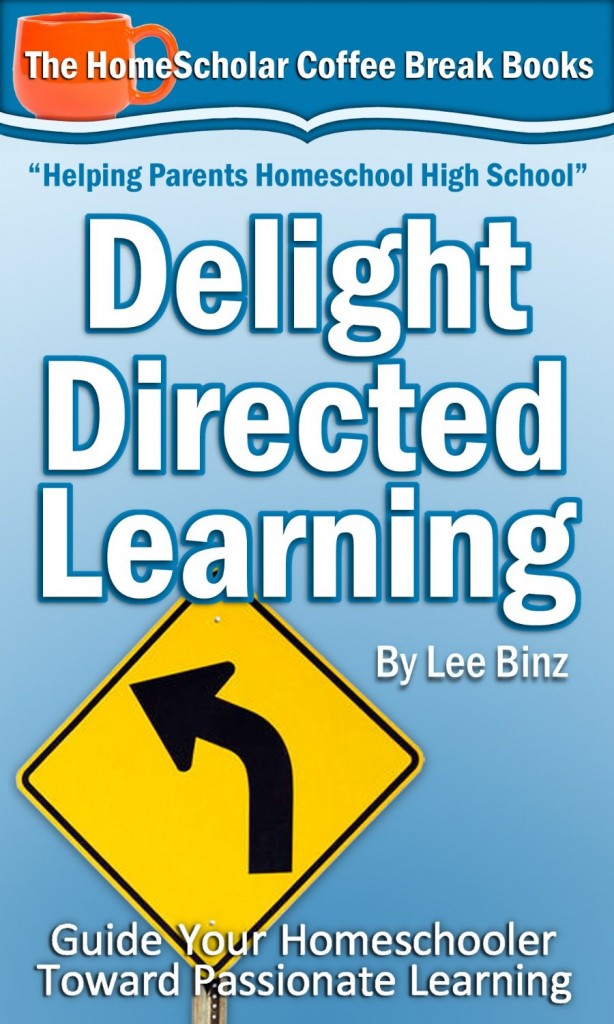 Delight Directed Learning Kindle eBook Only $0.99!