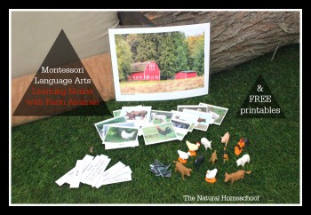FREE Farm Themed Noun Printables and Lesson
