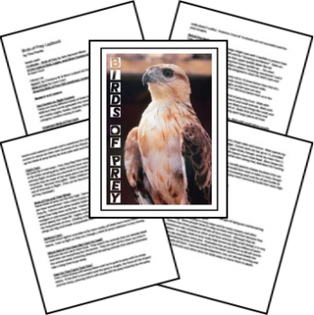 FREE Birds of Prey Zoobook Lapbook
