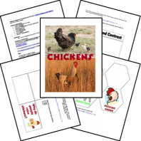 FREE Chicken Lapbook