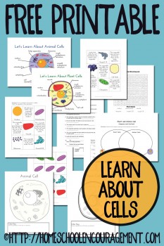 FREE Plant and Animal Cell Printables