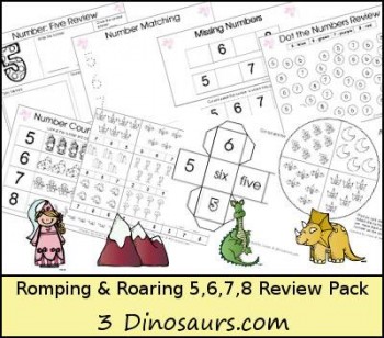 FREE Numbers 5,6,7 & 8 Review Pack