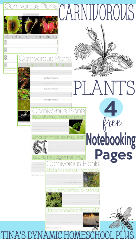 FREE Carnivorous Plants Notebooking Pages