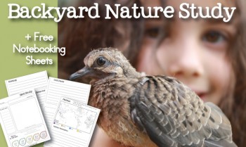 FREE Bird Nature Study Notebook Pages