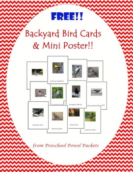 FREE Backyard Birds Cards and Mini Poster