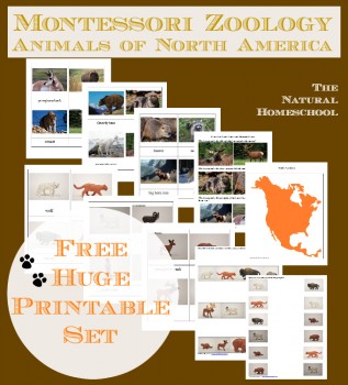 FREE Zoology Printables Set and Lesson