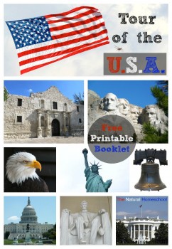 FREE USA Printables Set