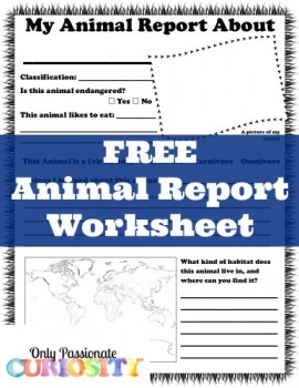 FREE Animal Report Printables