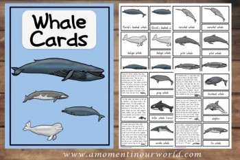 FREE Printable Whale Cards