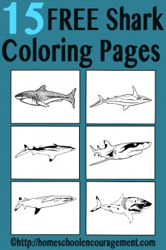 FREE Shark Coloring Pages
