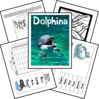 FREE Dolphin Lapbook And Unit Study