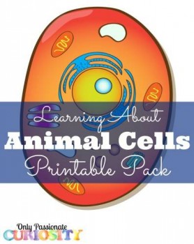 FREE Plant Cell Printable Pack